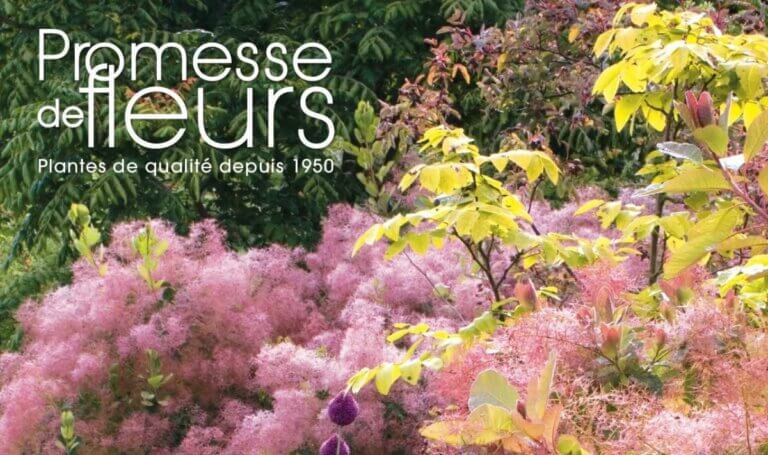 La pépinière en ligne Promesse de fleurs
